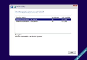 Windows 10 Pro 1909 ISO 2 in 1 V2 với No Software và Full Software ...